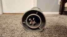 General Electric Electronic Bell
