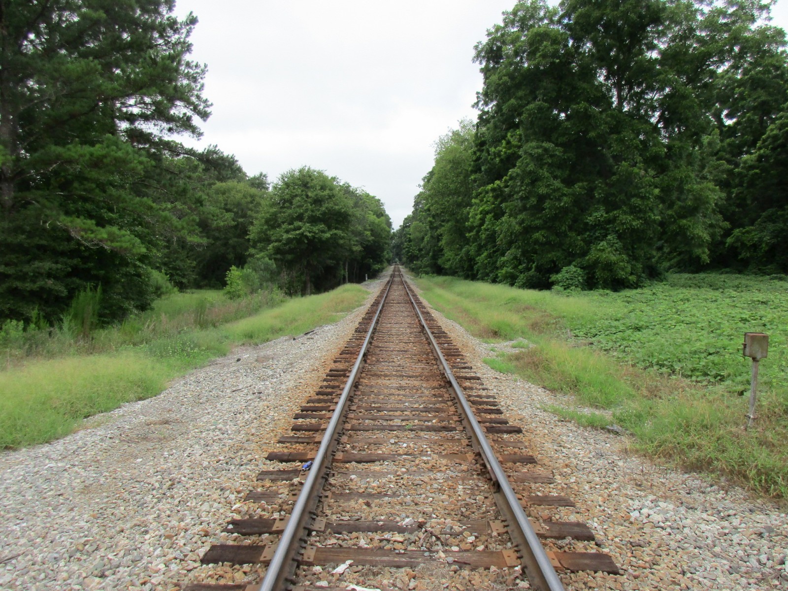 Broad Street (Cowarts, AL)