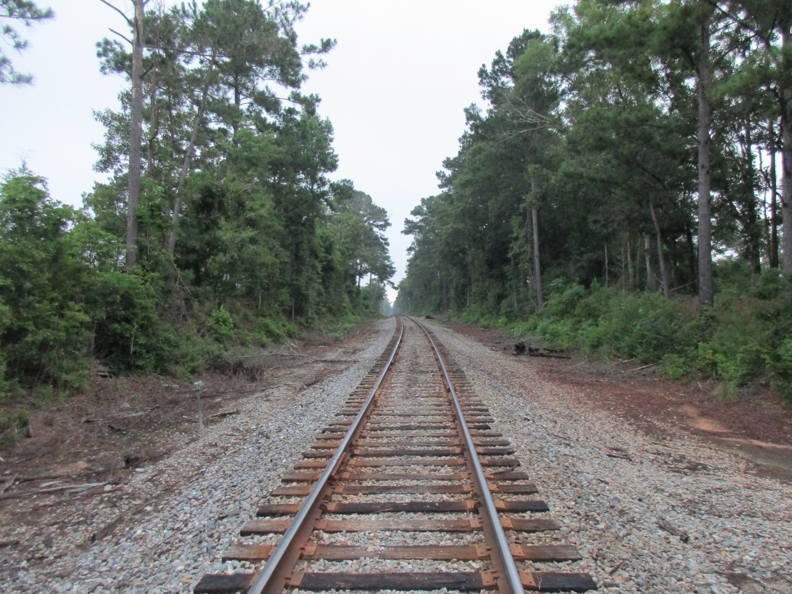 McCord Road (near Dothan, AL)