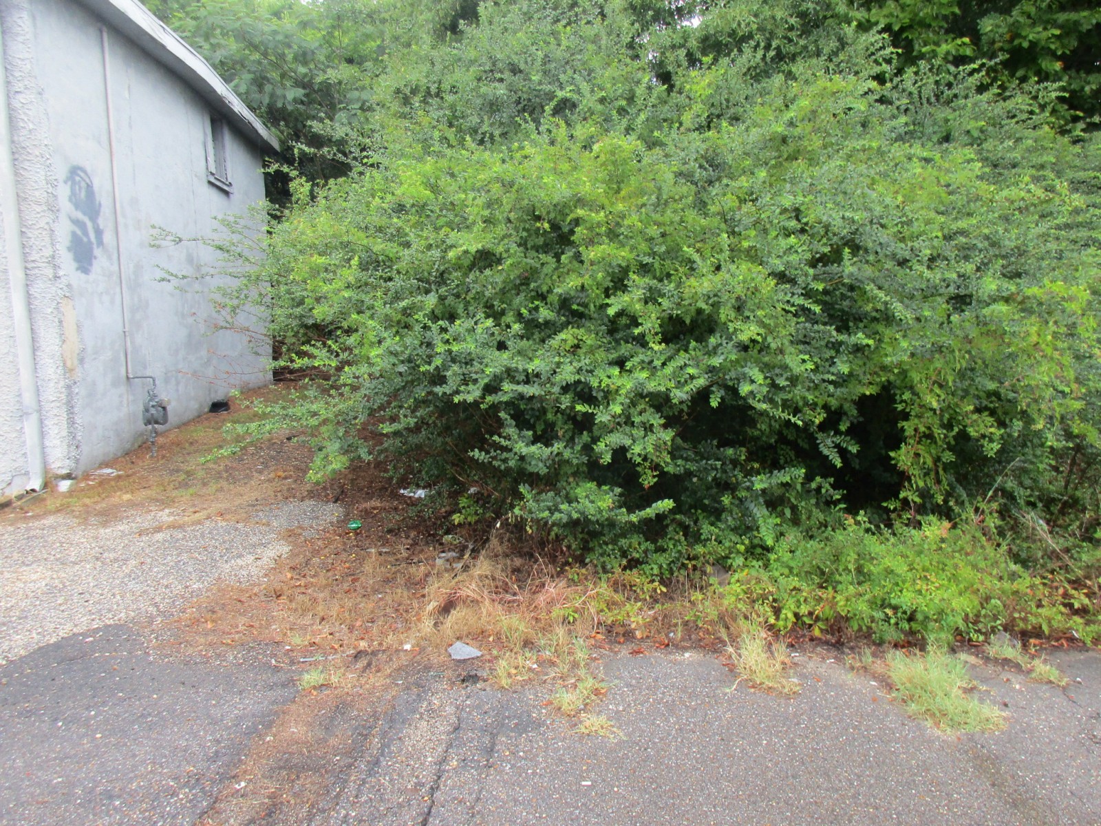 Pollard Street #2 (Abandoned) (Montgomery, AL)