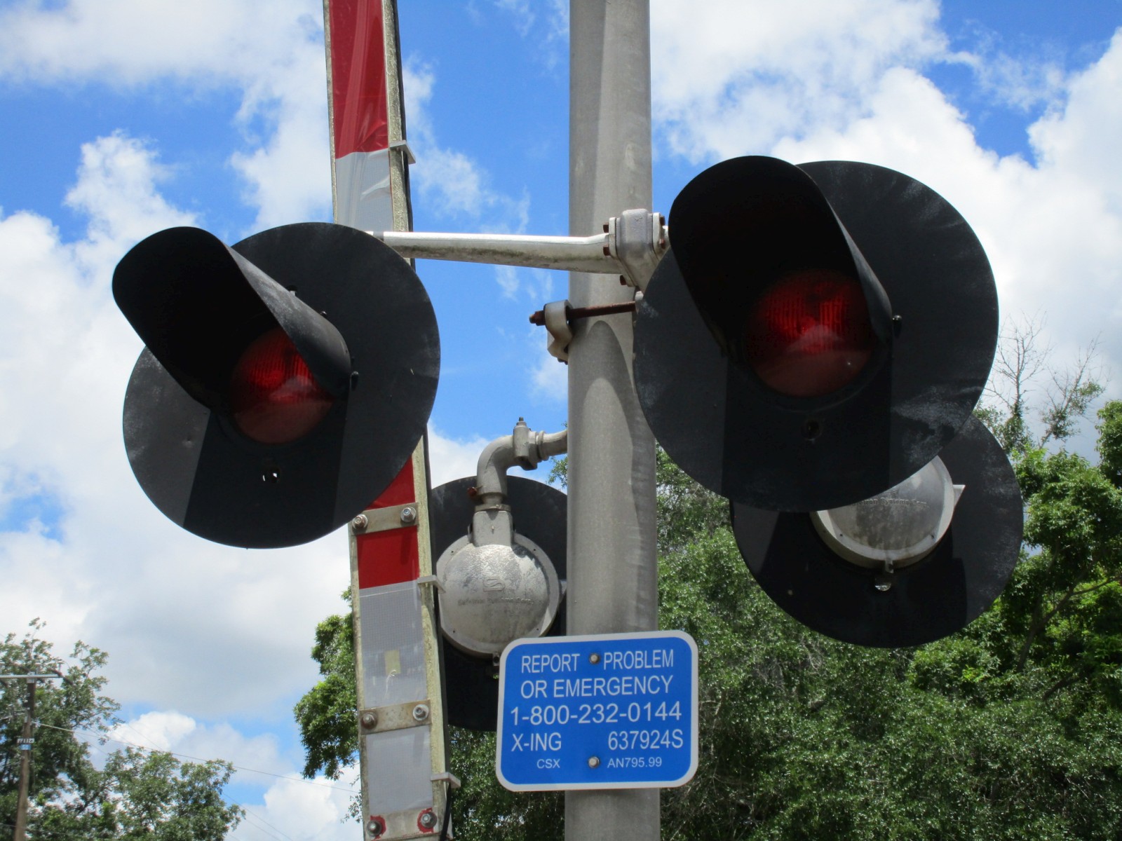 Randolph Street (Pinckard, AL)