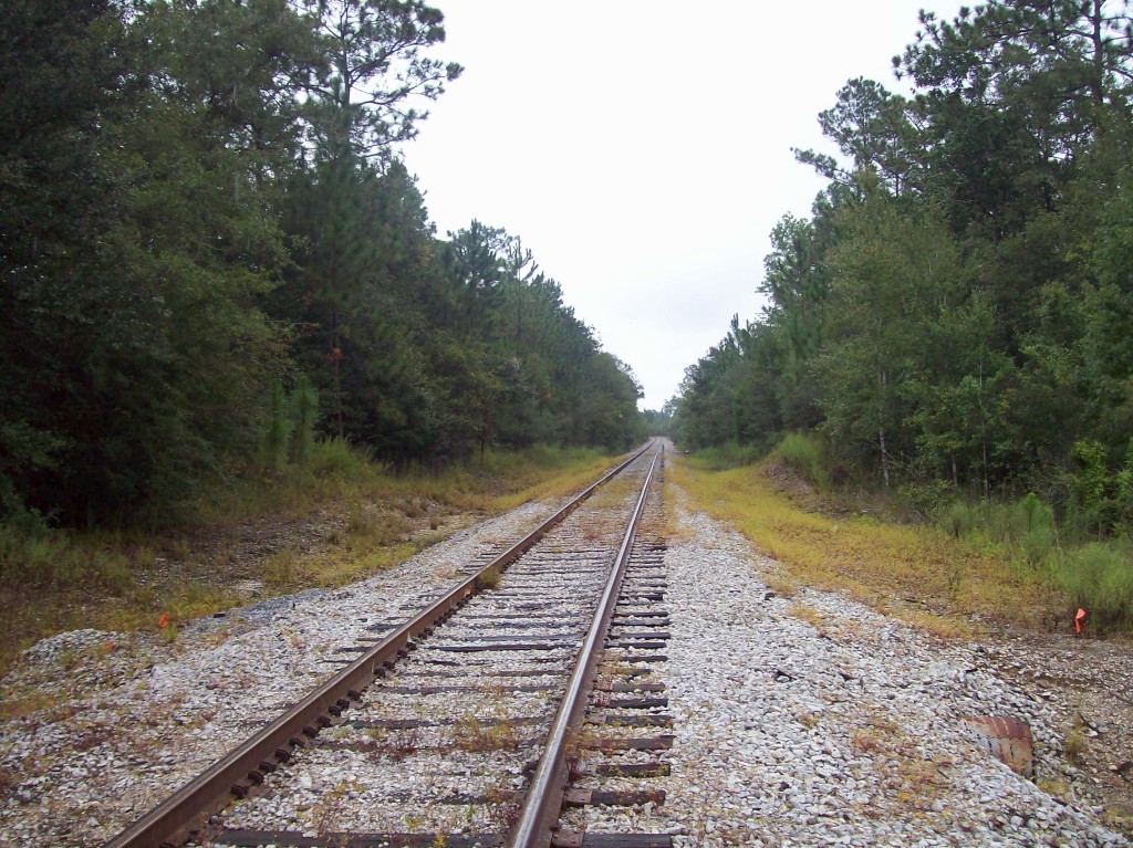 Jack's Branch Rd. (Cantonment, FL)