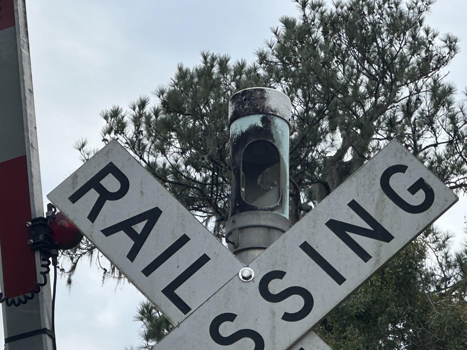 Bascom Norris Drive #2 (Lake City, FL)