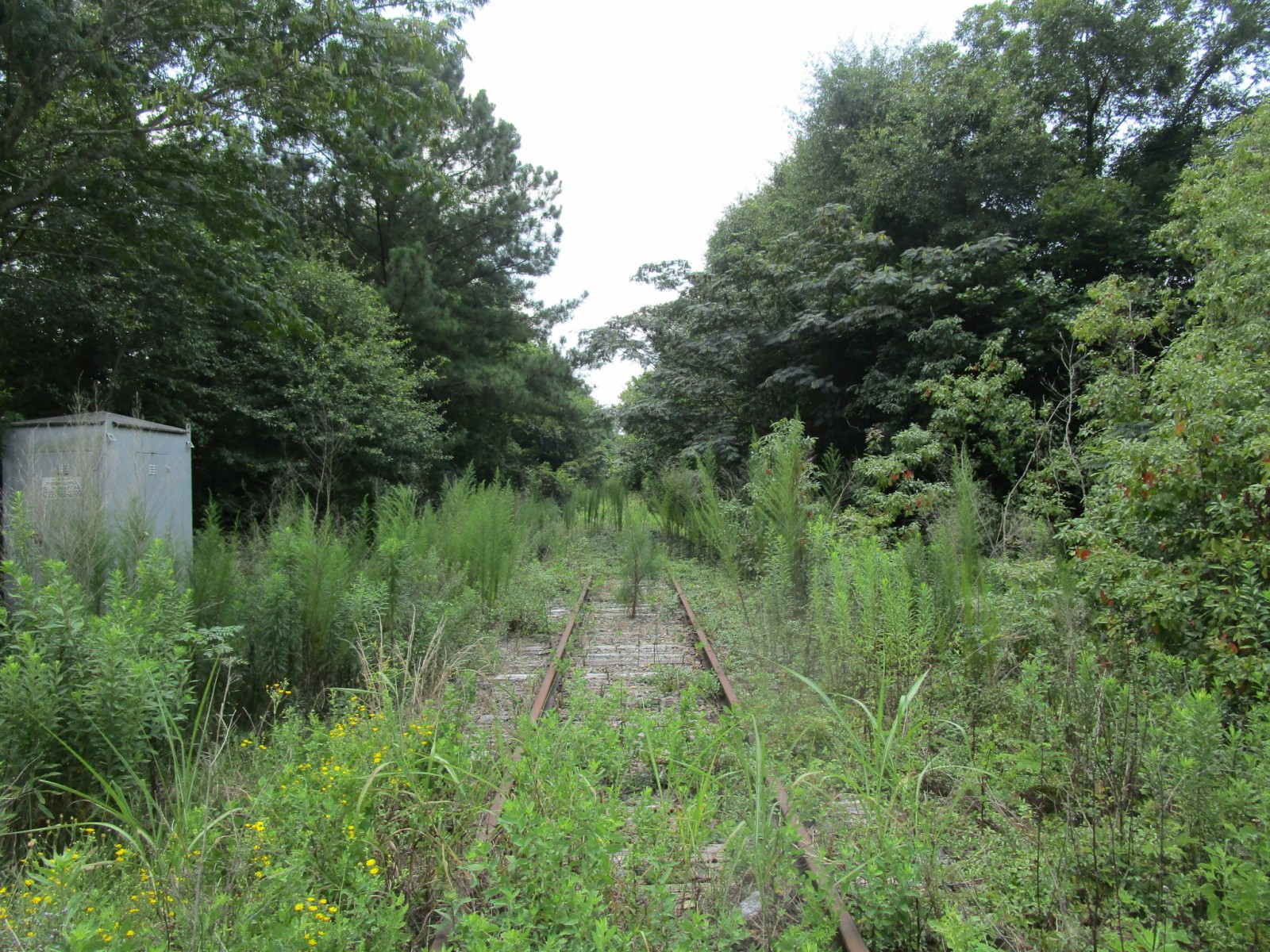 Industrial Boulevard (Americus, GA) (Out of Service)