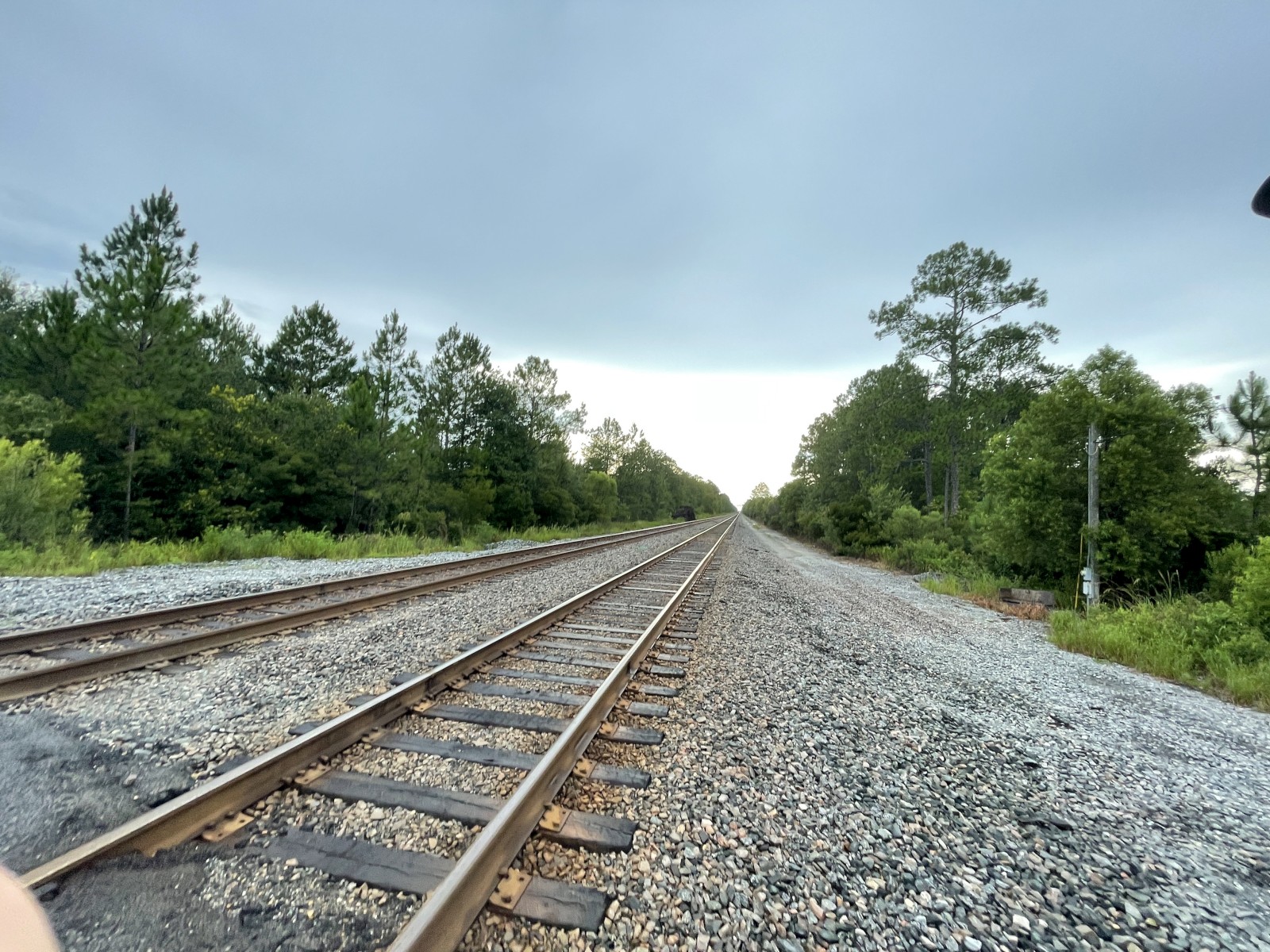 Will Cox Road (Astoria, GA)
