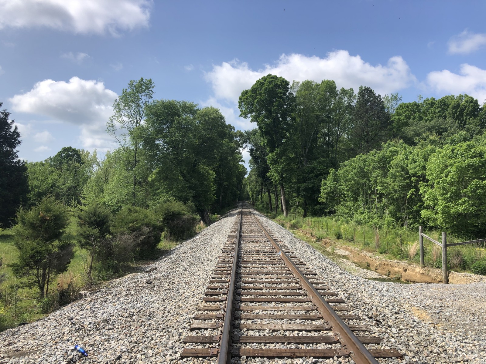 Wilson Caldwell Road (Cohutta, GA)