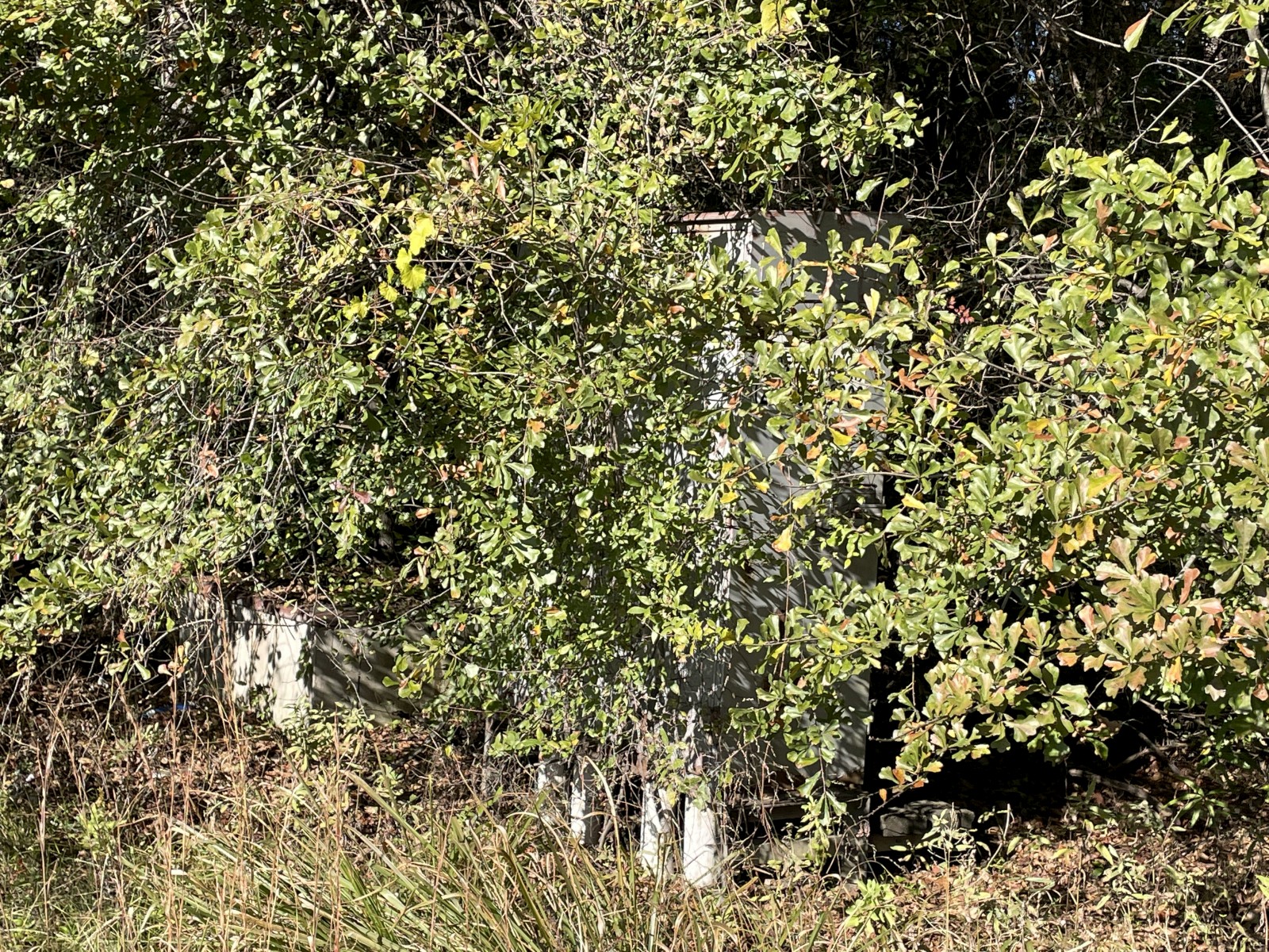 Old Cusseta Road #1 (Columbus, GA) (OOS)
