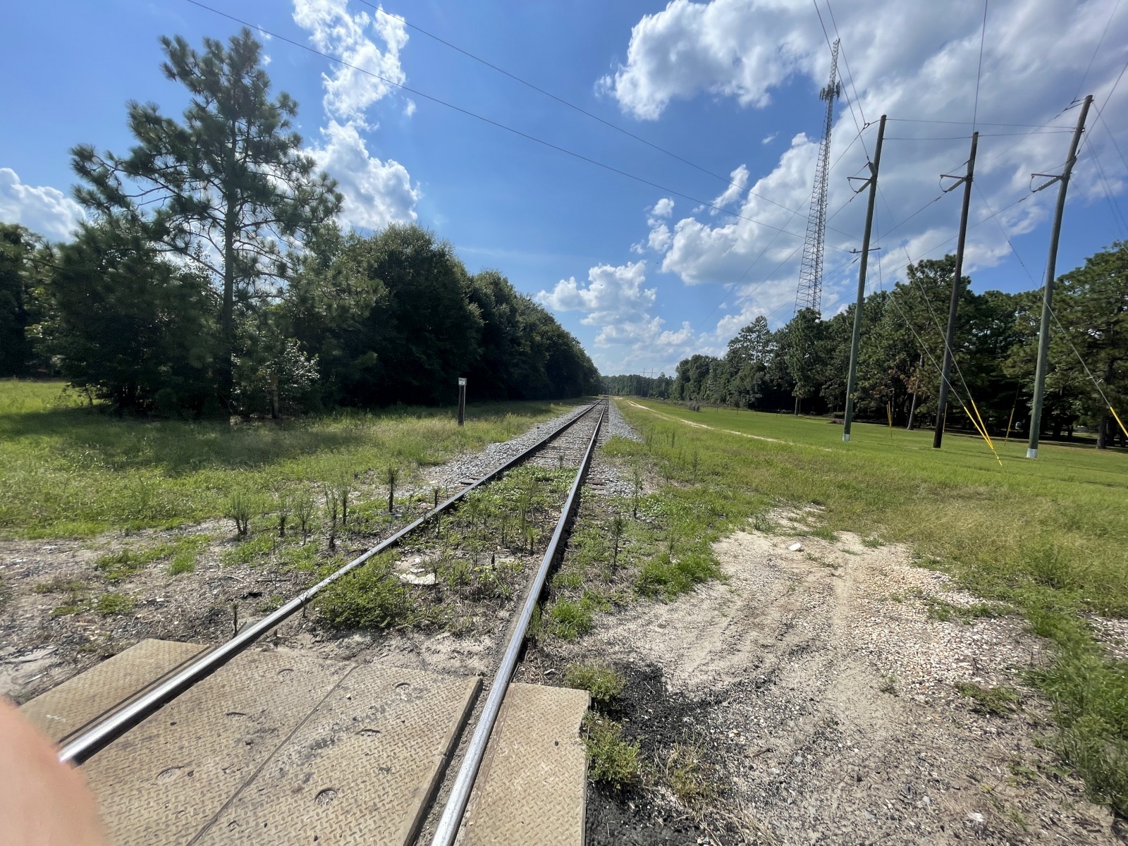 Savannah Highway (Doctortown, GA)