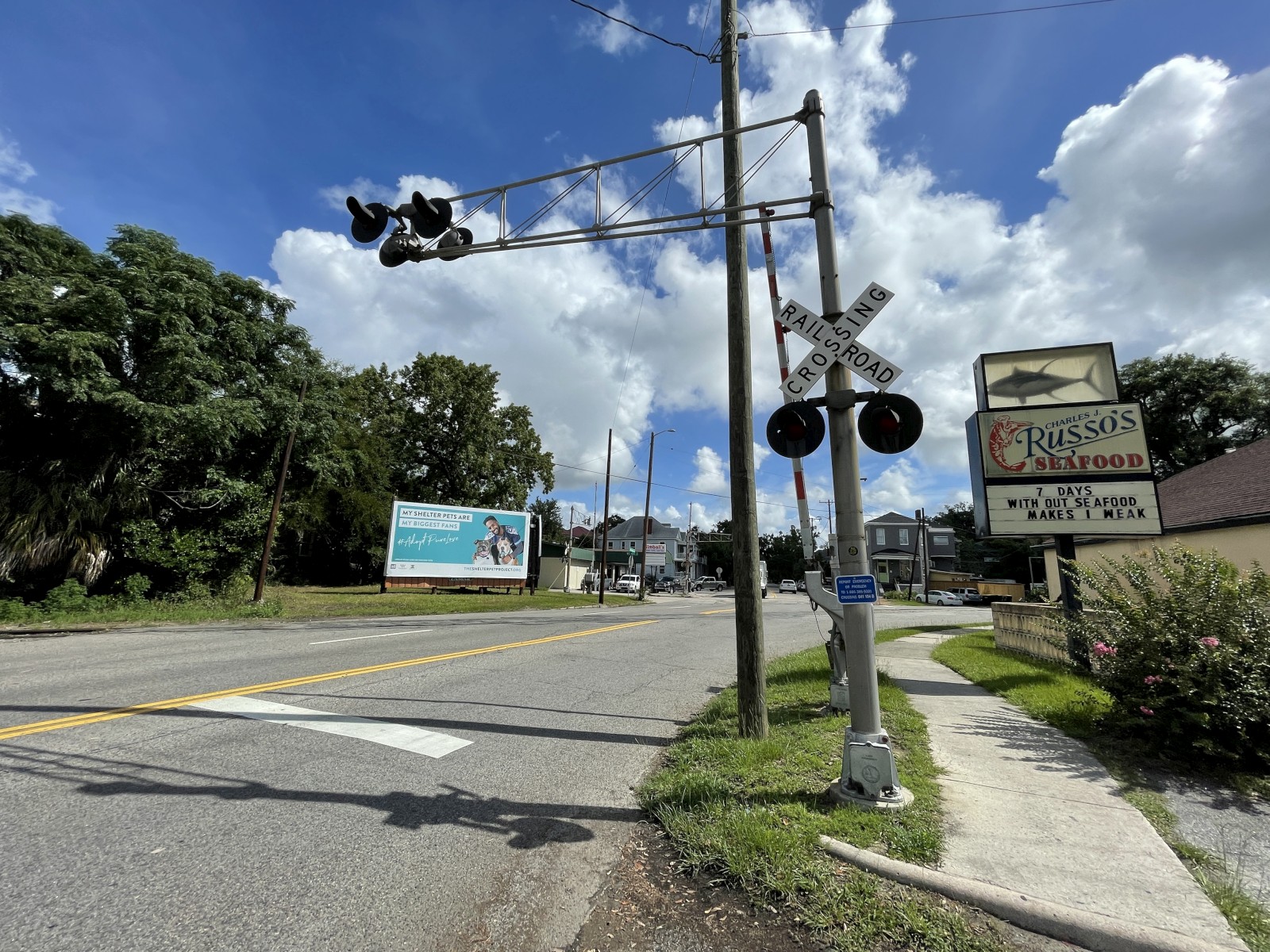Abercorn Street & 40th Street (Savannah, GA)