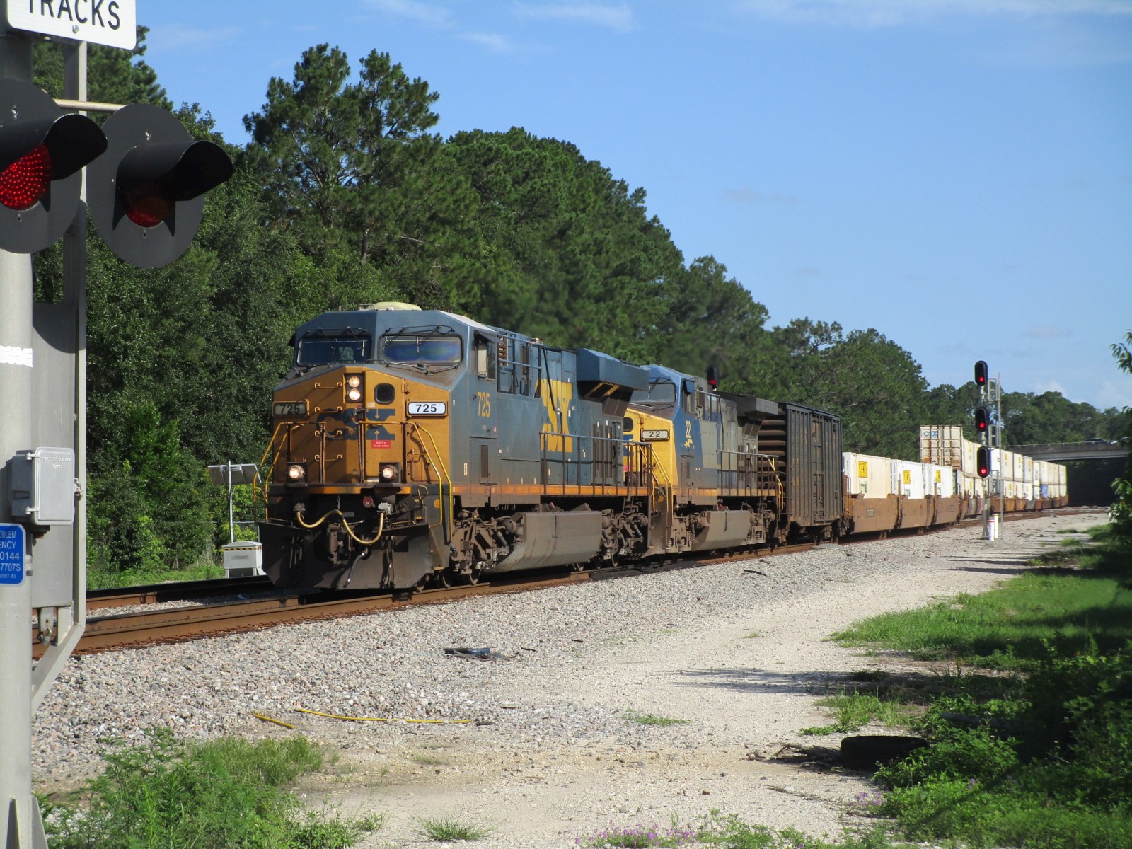 Carswell Avenue (GA 122) (Waycross, GA)