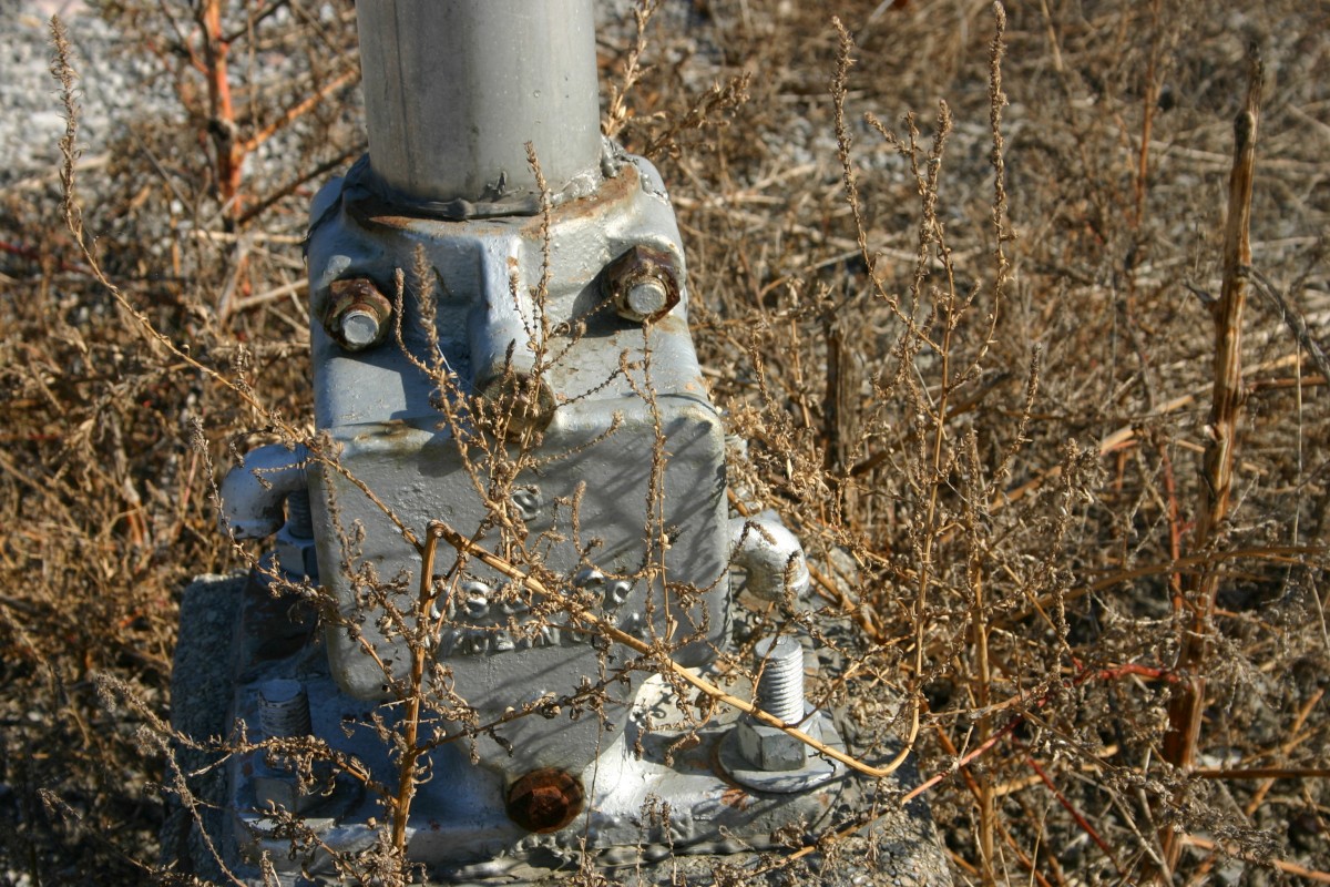 Old Freeburg Rd. (Freeburg, IL)