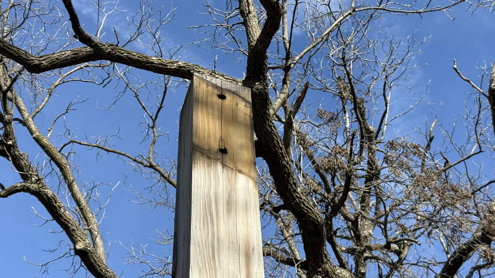 Swanson Memorial Park (Clive, IA)