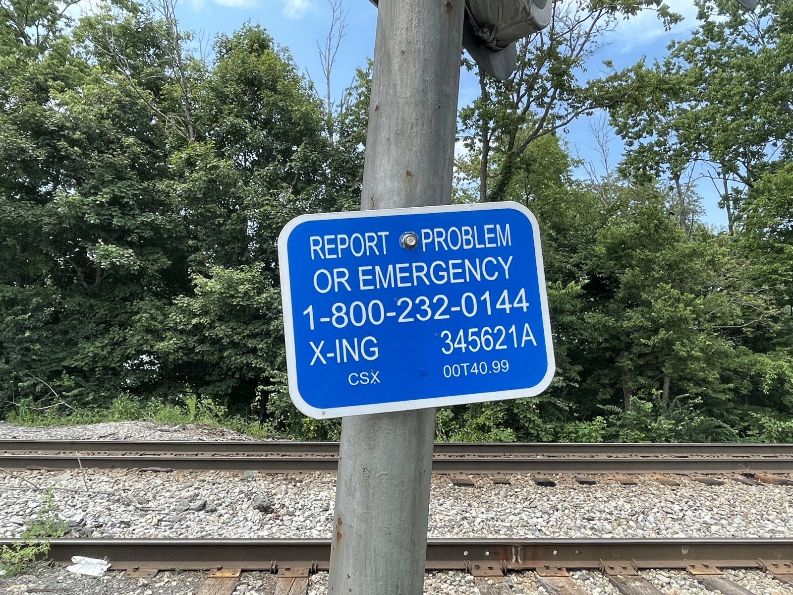 Cardinal Drive (Campbellsburg, KY)