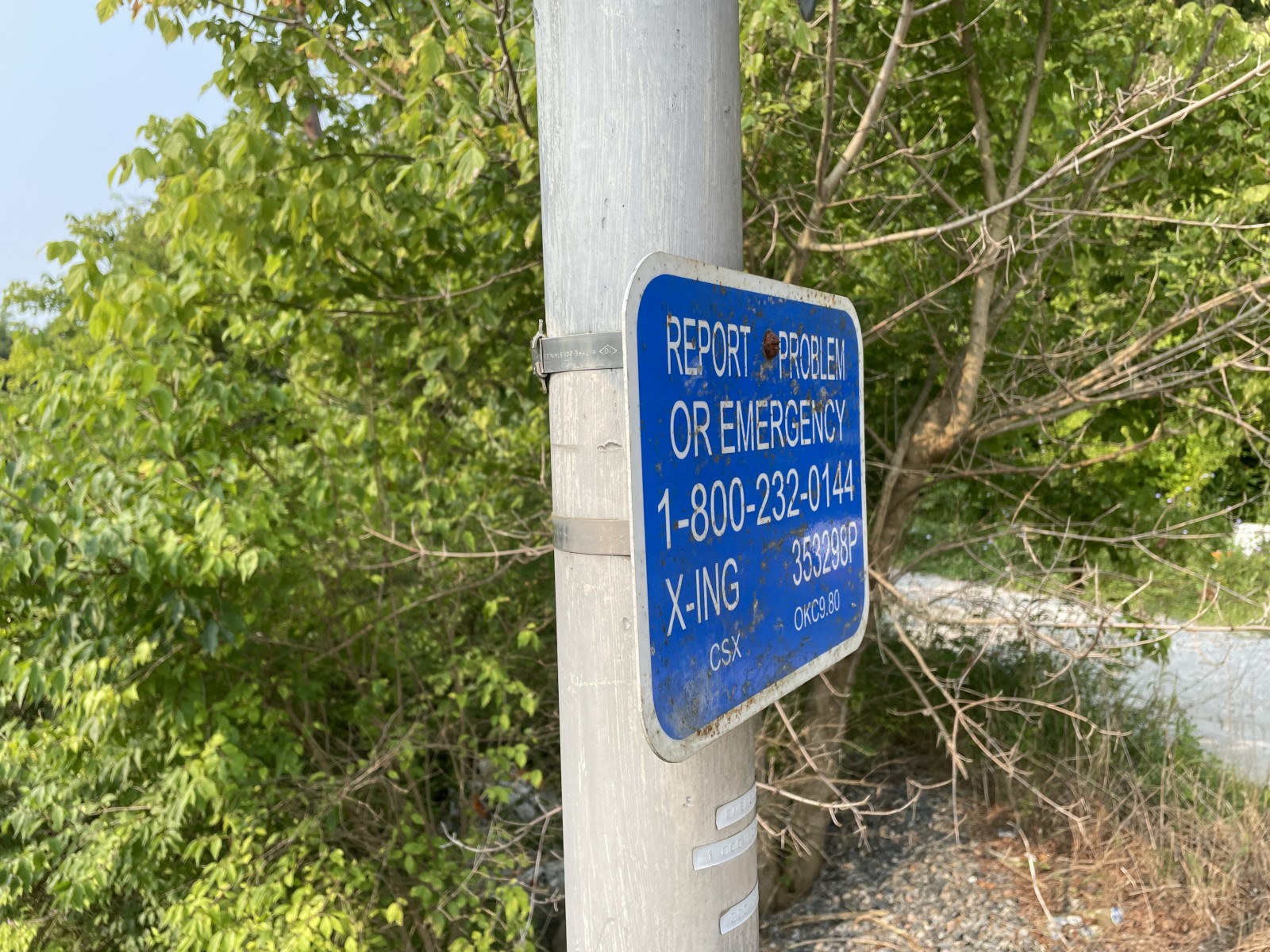 Locust Pike (Ryland Heights, KY)
