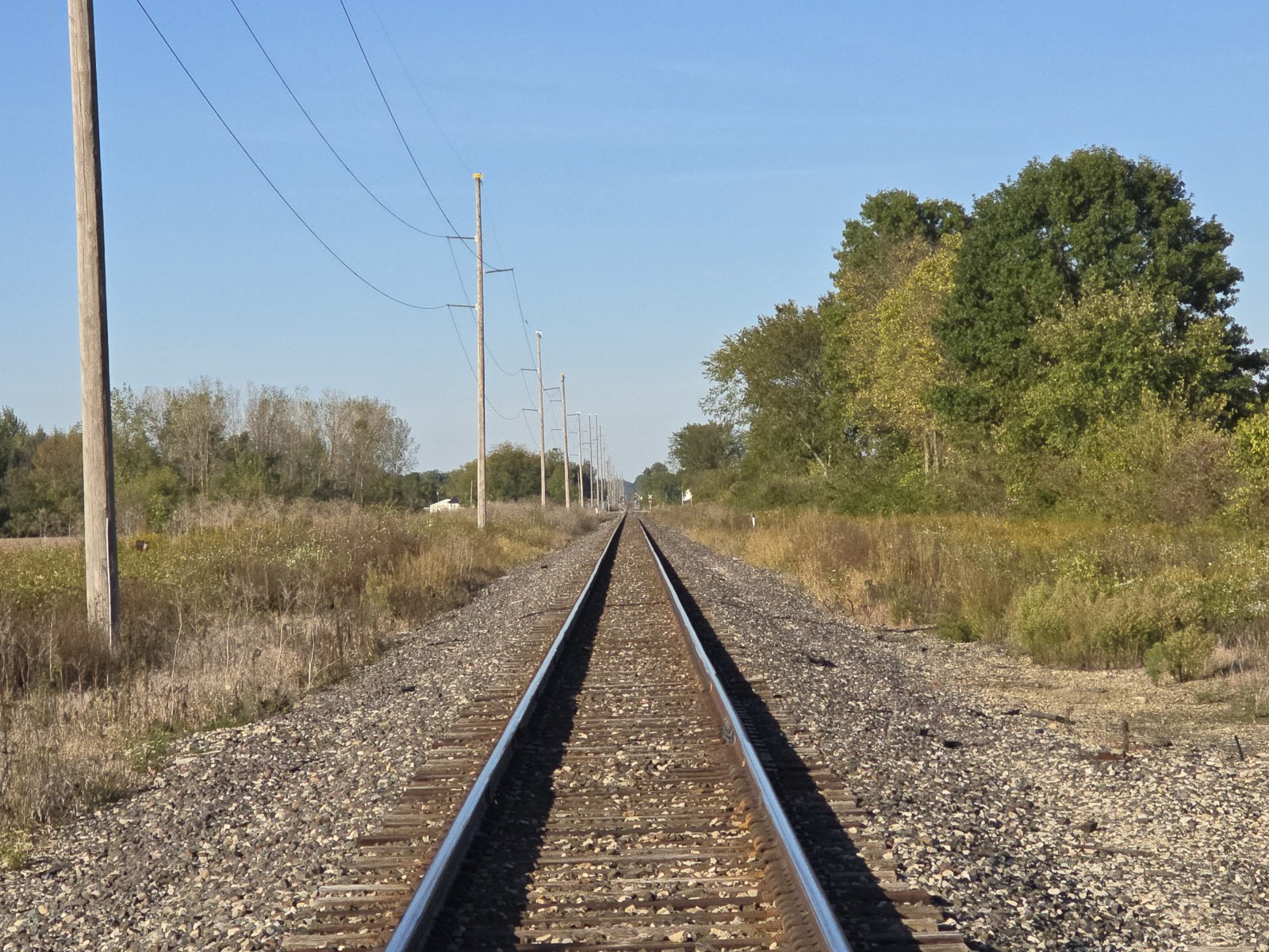 Curtis Road (Cardington, OH)