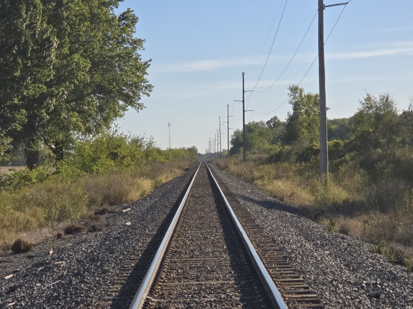 Curtis Road (Cardington, OH)