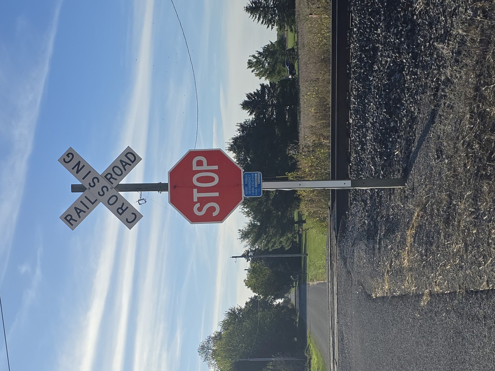Curtis Road (Cardington, OH)