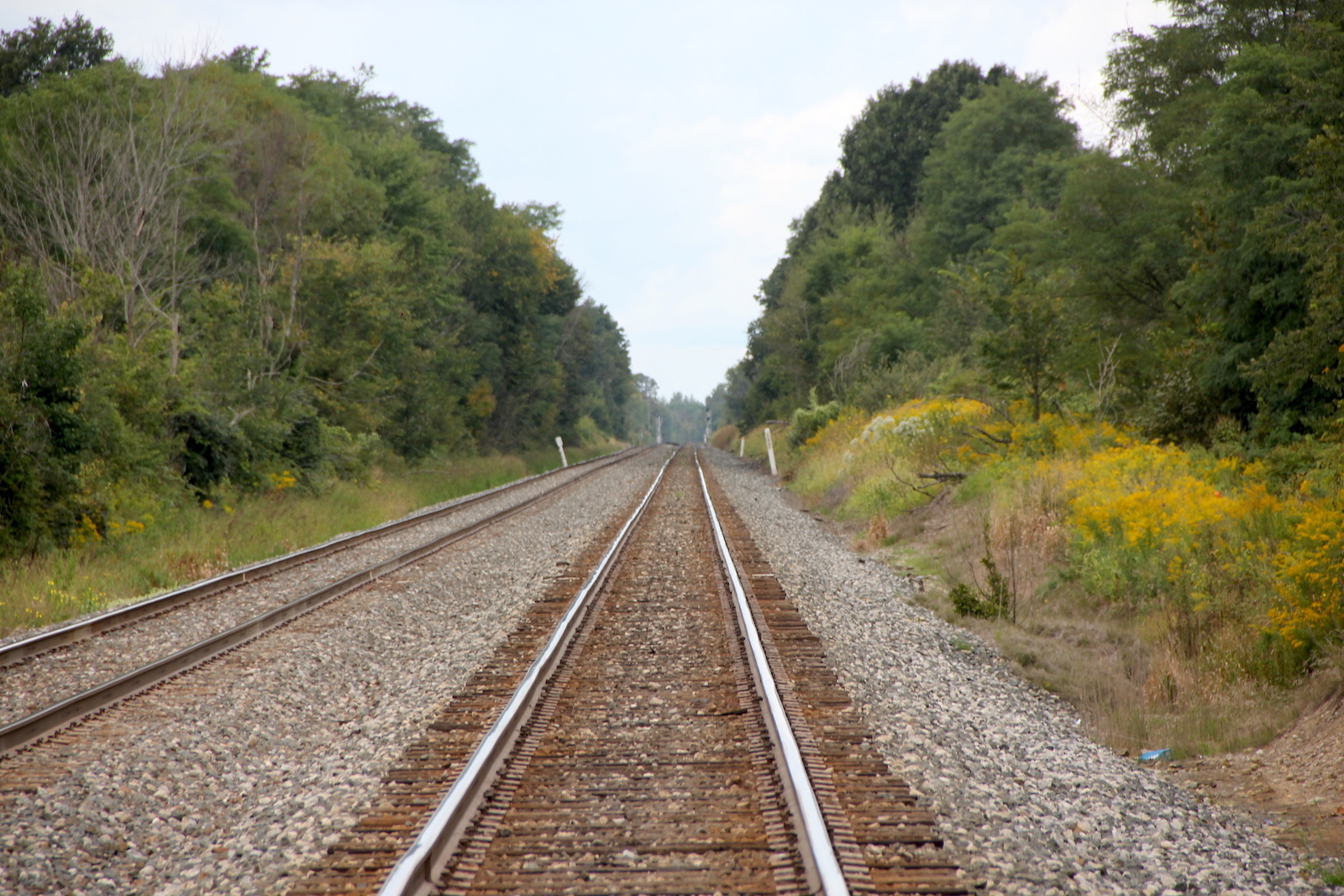 Nineveh Rd. (Greenwich, OH)