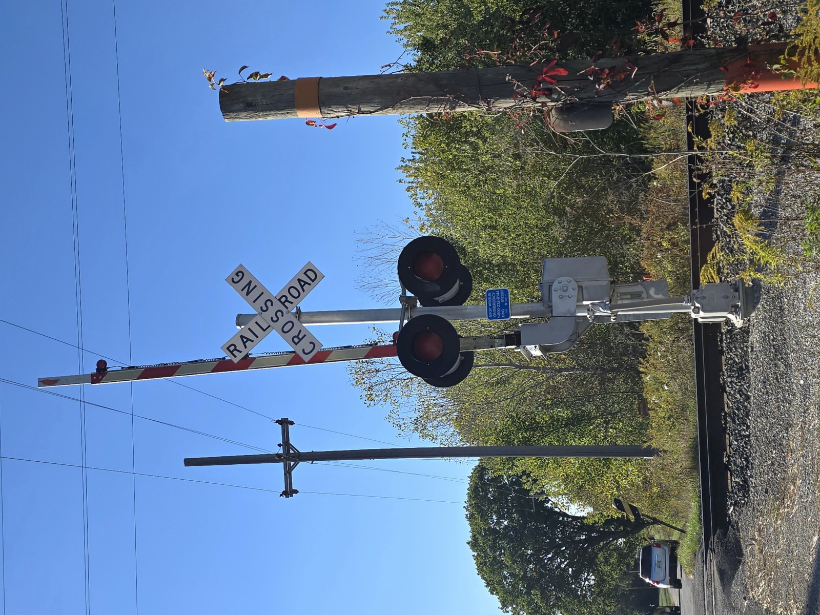 Point-Bellville Road (Iberia, OH)