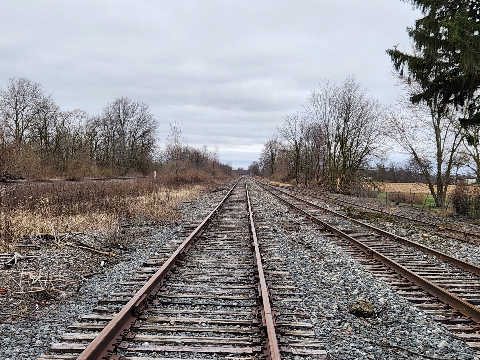 Martel Road (Martel, OH)