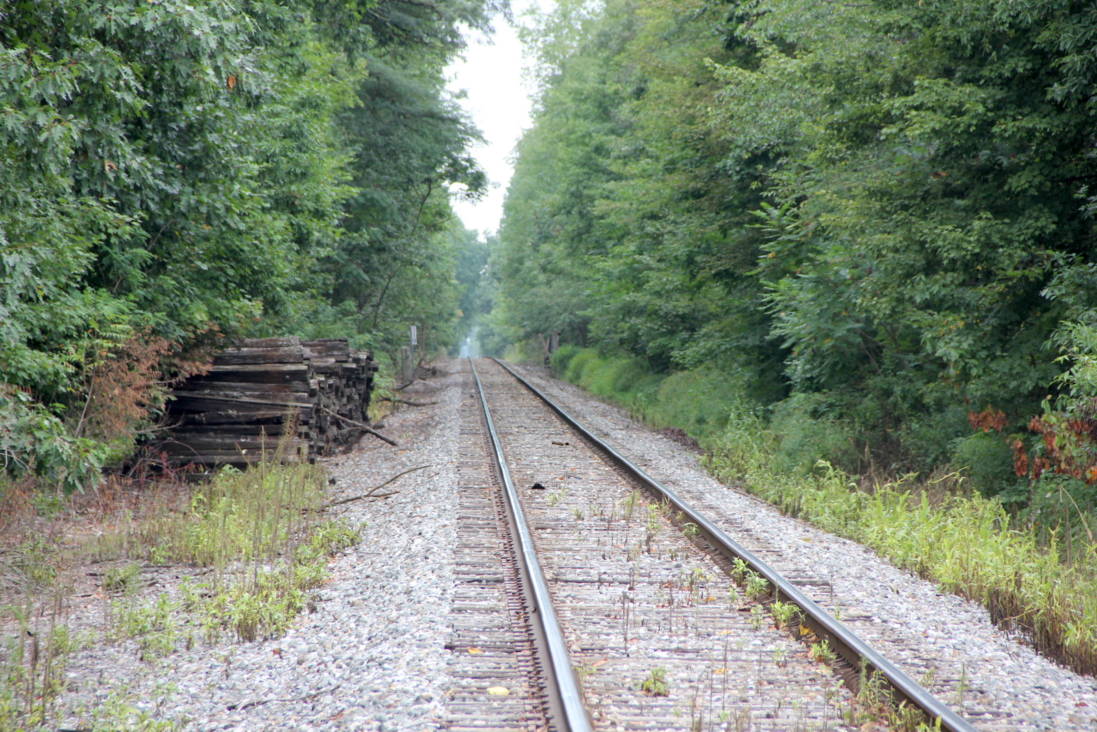 Adamsville Rd. (Atlantic, PA)