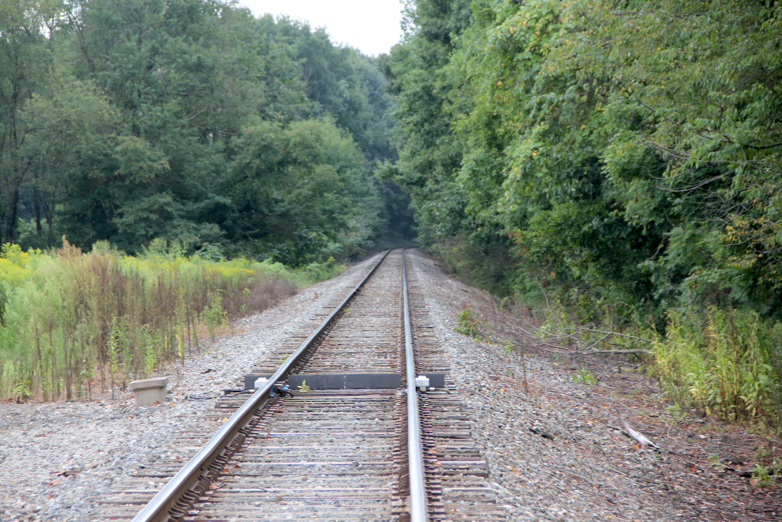 Adamsville Rd. (Atlantic, PA)