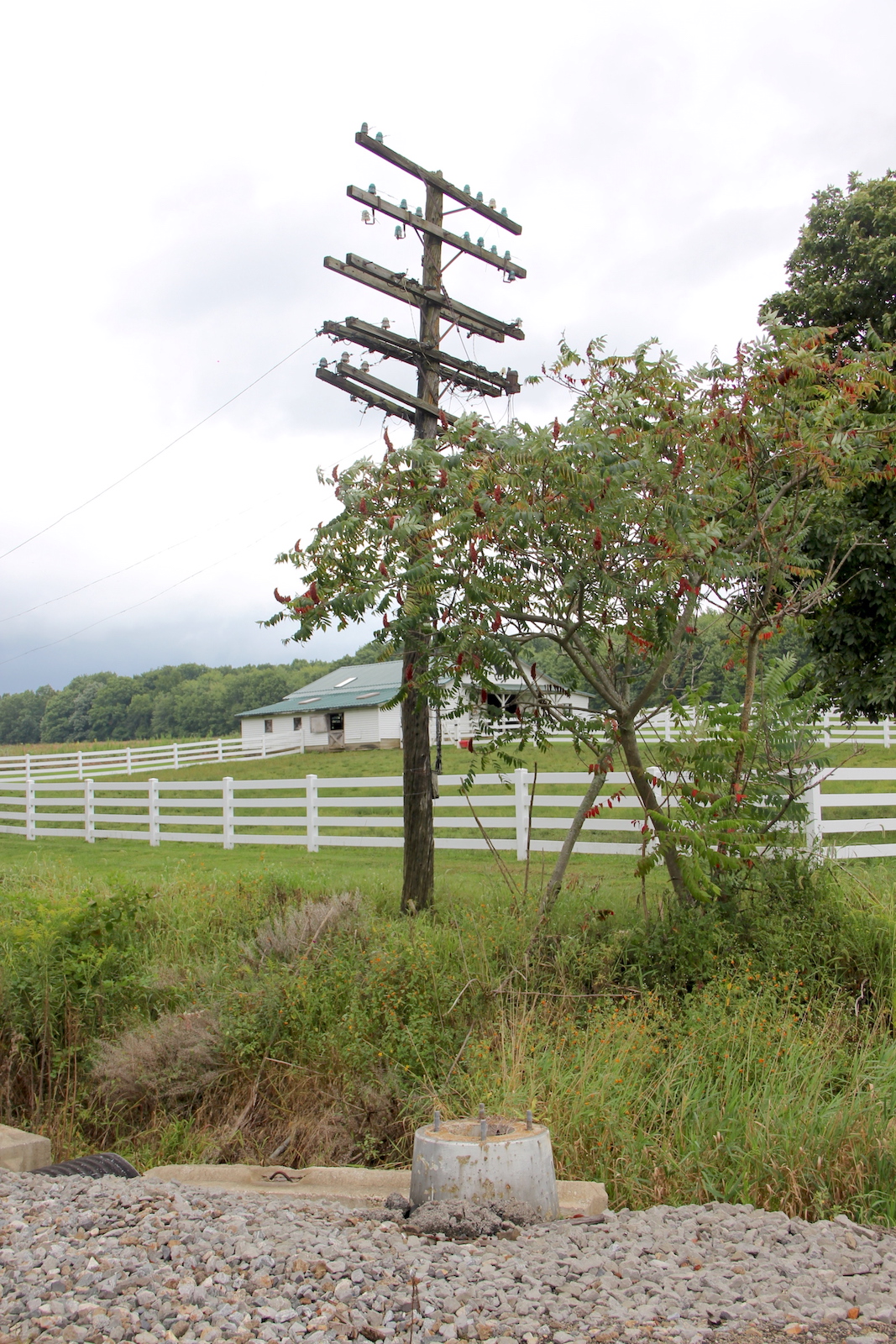 Adamsville Rd. (Atlantic, PA)