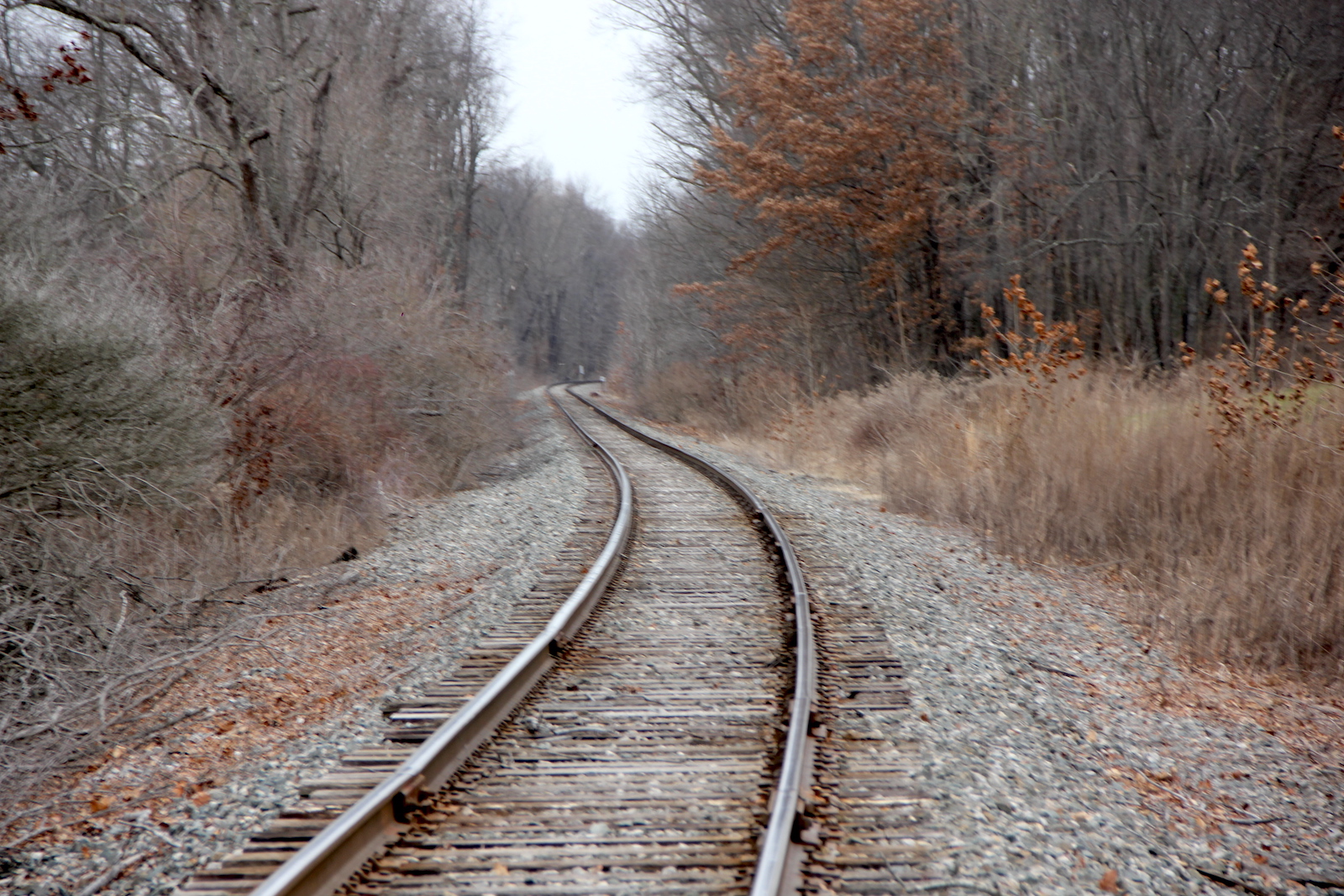 Calvin Rd. (Atlantic, PA)