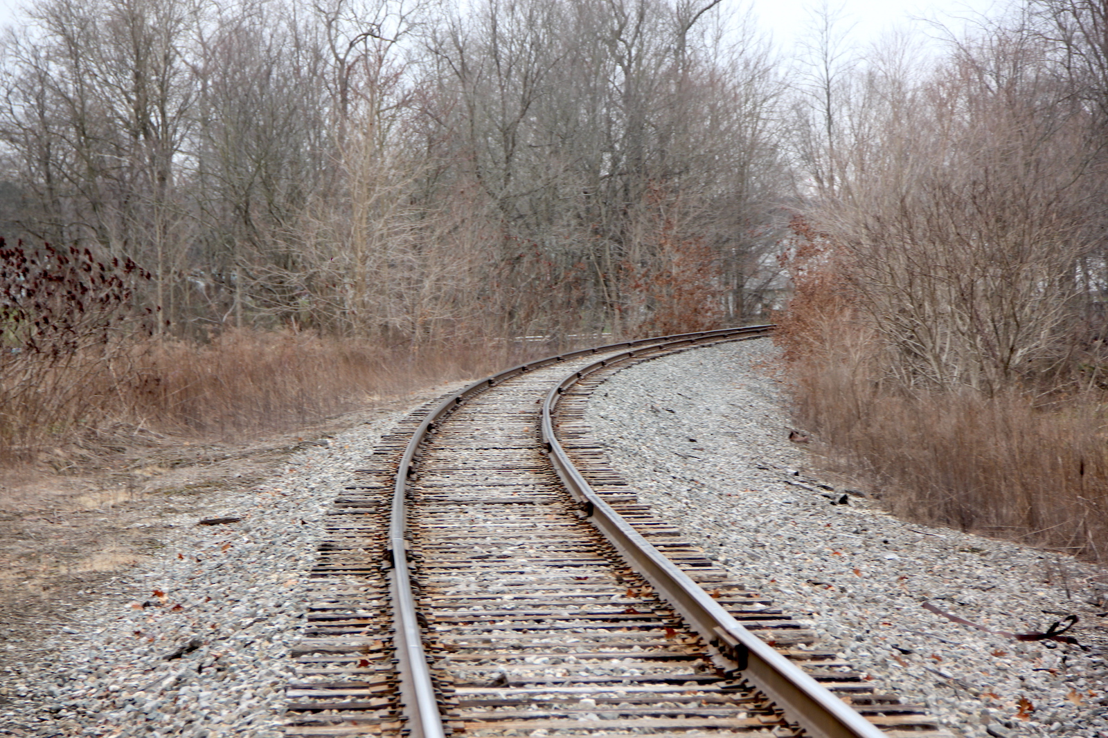 Calvin Rd. (Atlantic, PA)