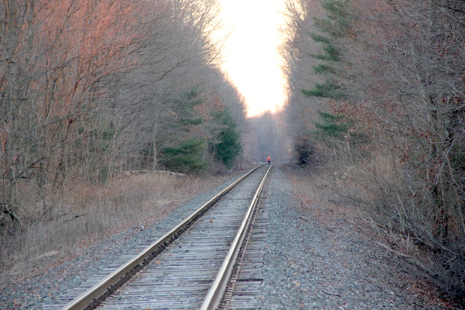 County Line Rd. (Atlantic, PA)