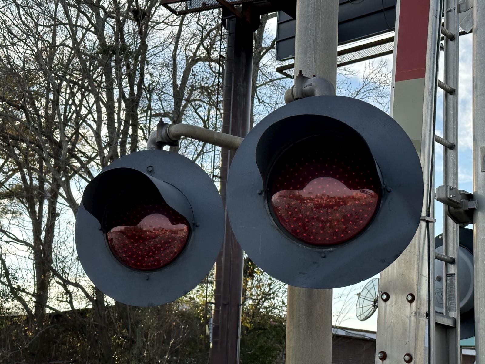Julia Lane (Dillon, SC)