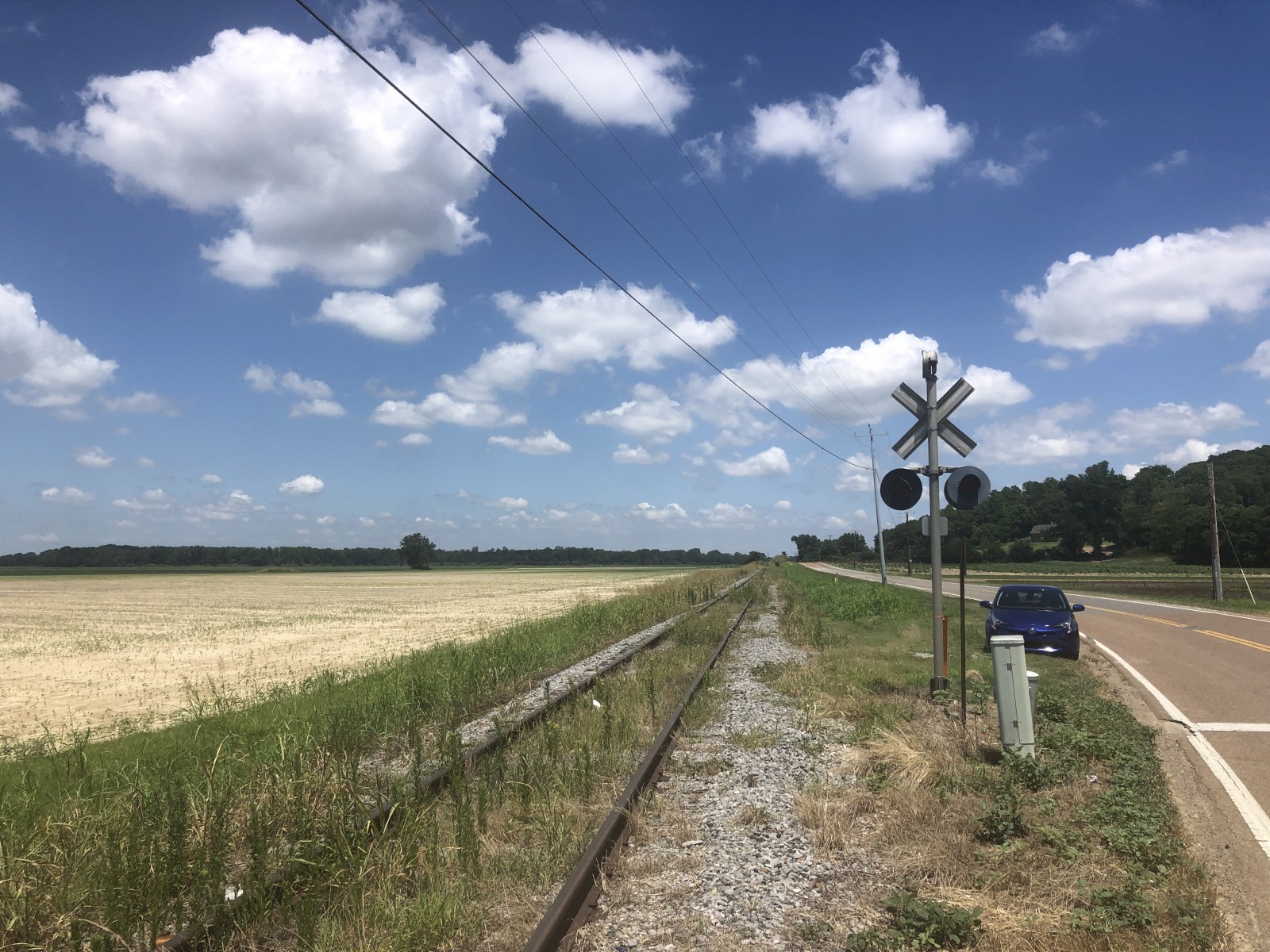 Lenox-Nauvoo Road (Finley, TN)