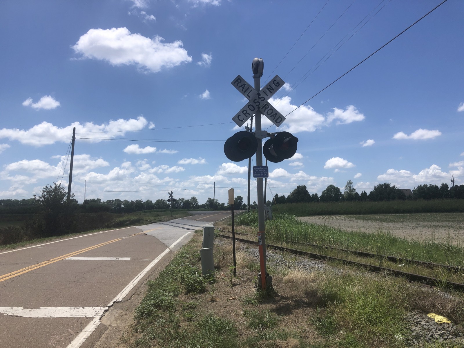Lenox-Nauvoo Road (Finley, TN)