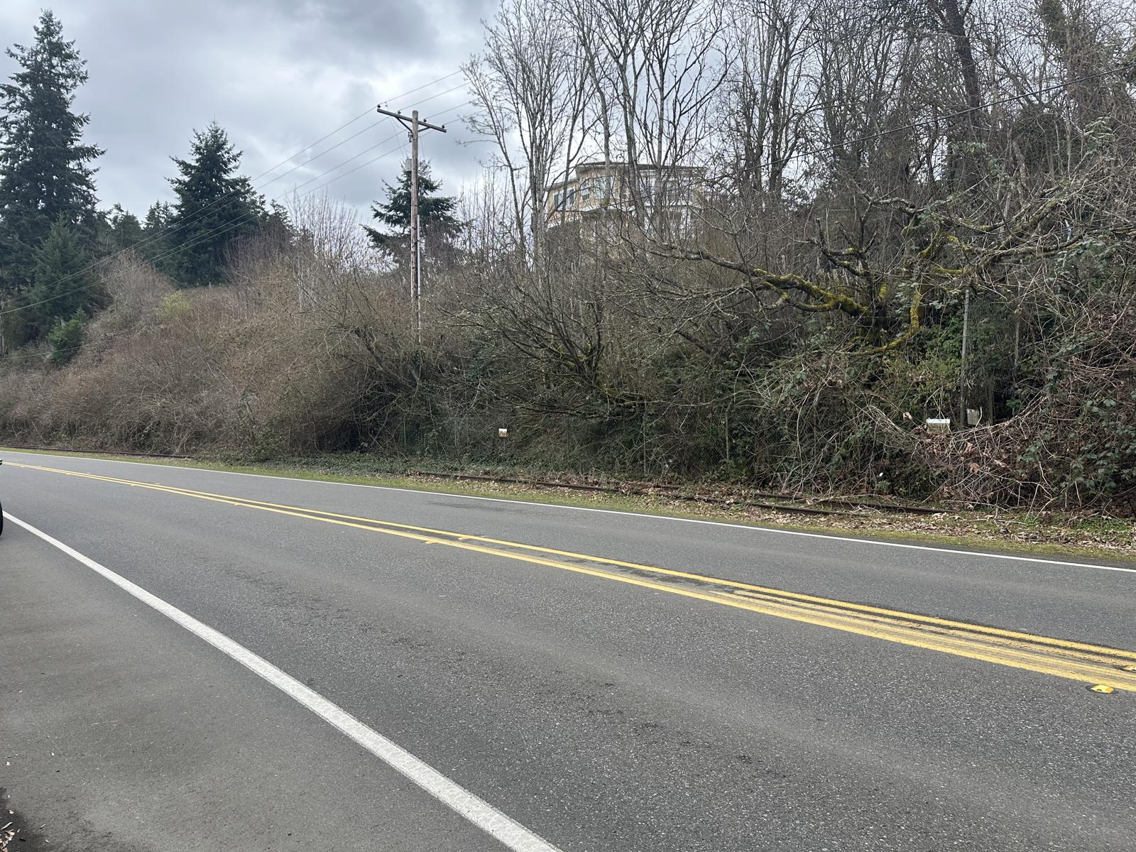 Chambers Creek Rd. (Steilacoom, WA)